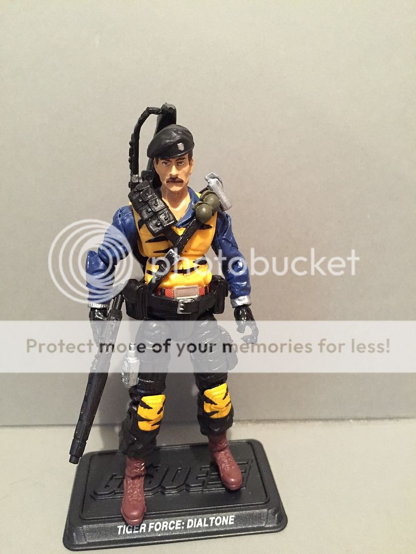 Modern era Tiger Force - HissTank.com